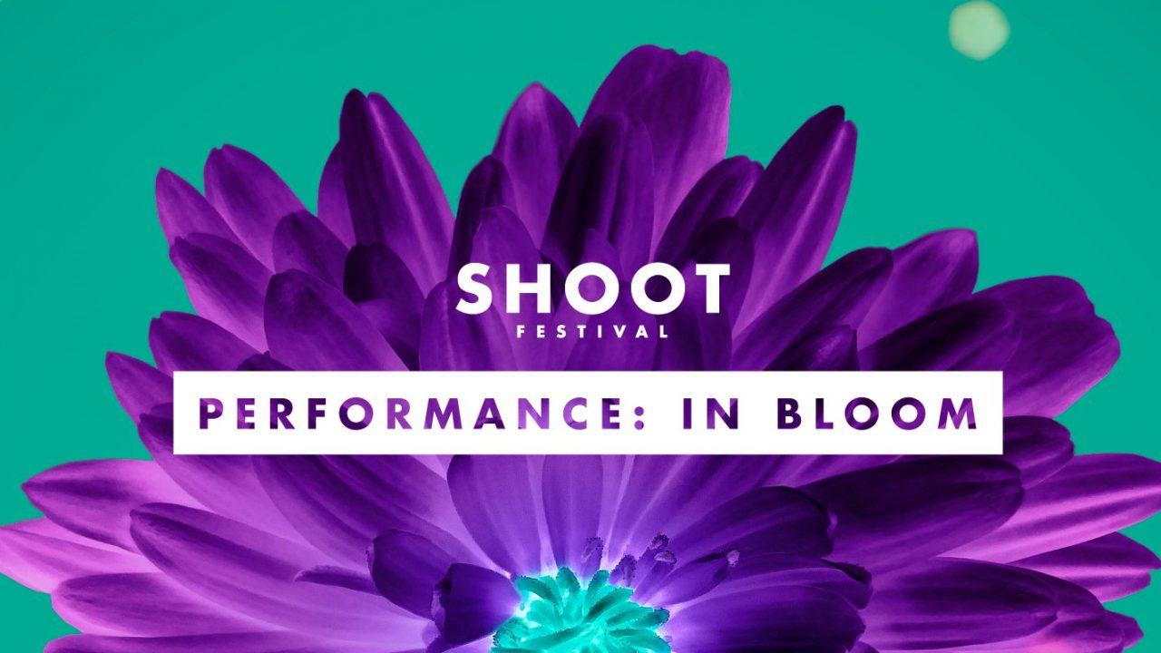 Ticket information - Belgrade Theatre