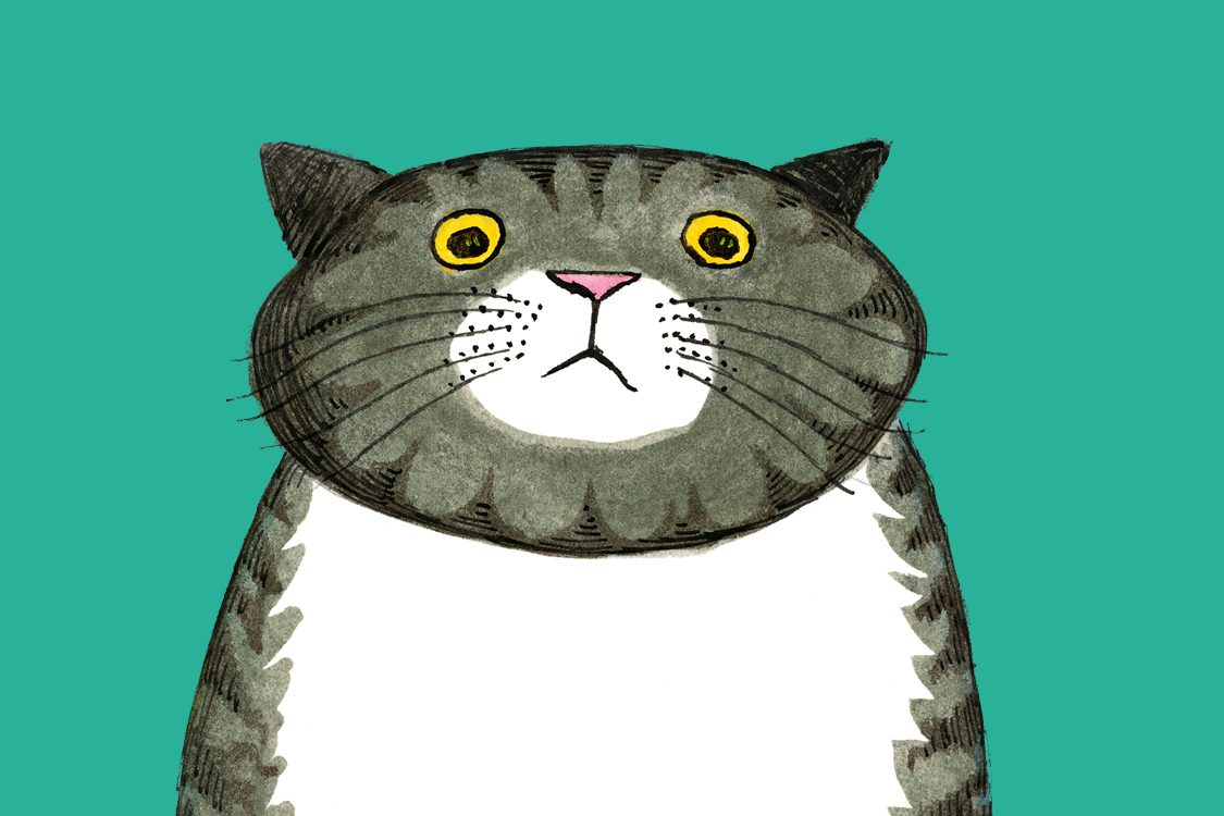 Mog The Forgetful Cat - Belgrade Theatre