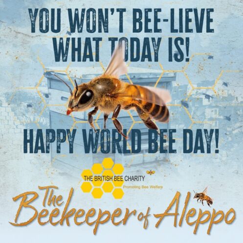 World Bee Day 2023 - Belgrade Theatre